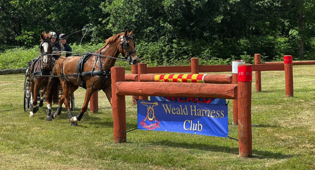 Weald Harness Club - For carriage driving enthusiast, Kent and Sussex.
